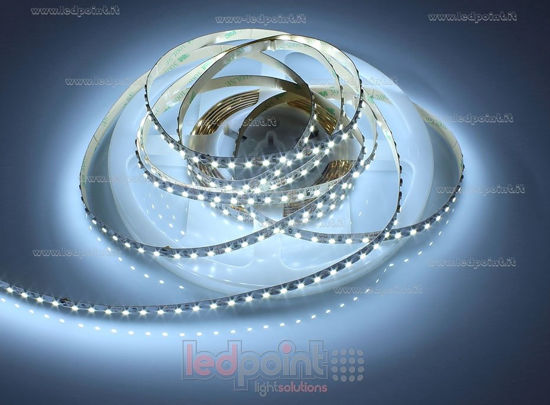 Ledpoint S.r.l. | Ruban led blanc froid 5m 6000-6500K 120leds/m 3528 12V