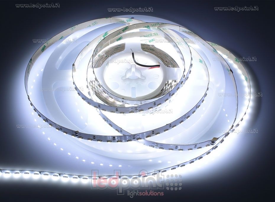 Ledpoint S.r.l. | Ruban led blanc froid 5m 6000-6500K 120leds/m 335 24V ...