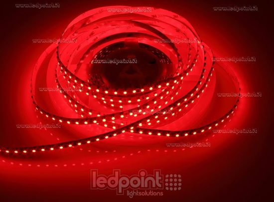 Ledpoint S.r.l. | Ruban led Rouge 5m 120leds/m 3528 24V 9,6W/m