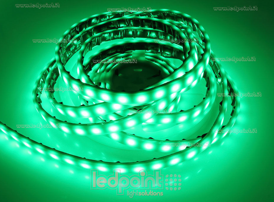Ledpoint S.r.l. | Ruban led 5m vert 5050 60led/m 24V 14,4W/m, IP67 ...