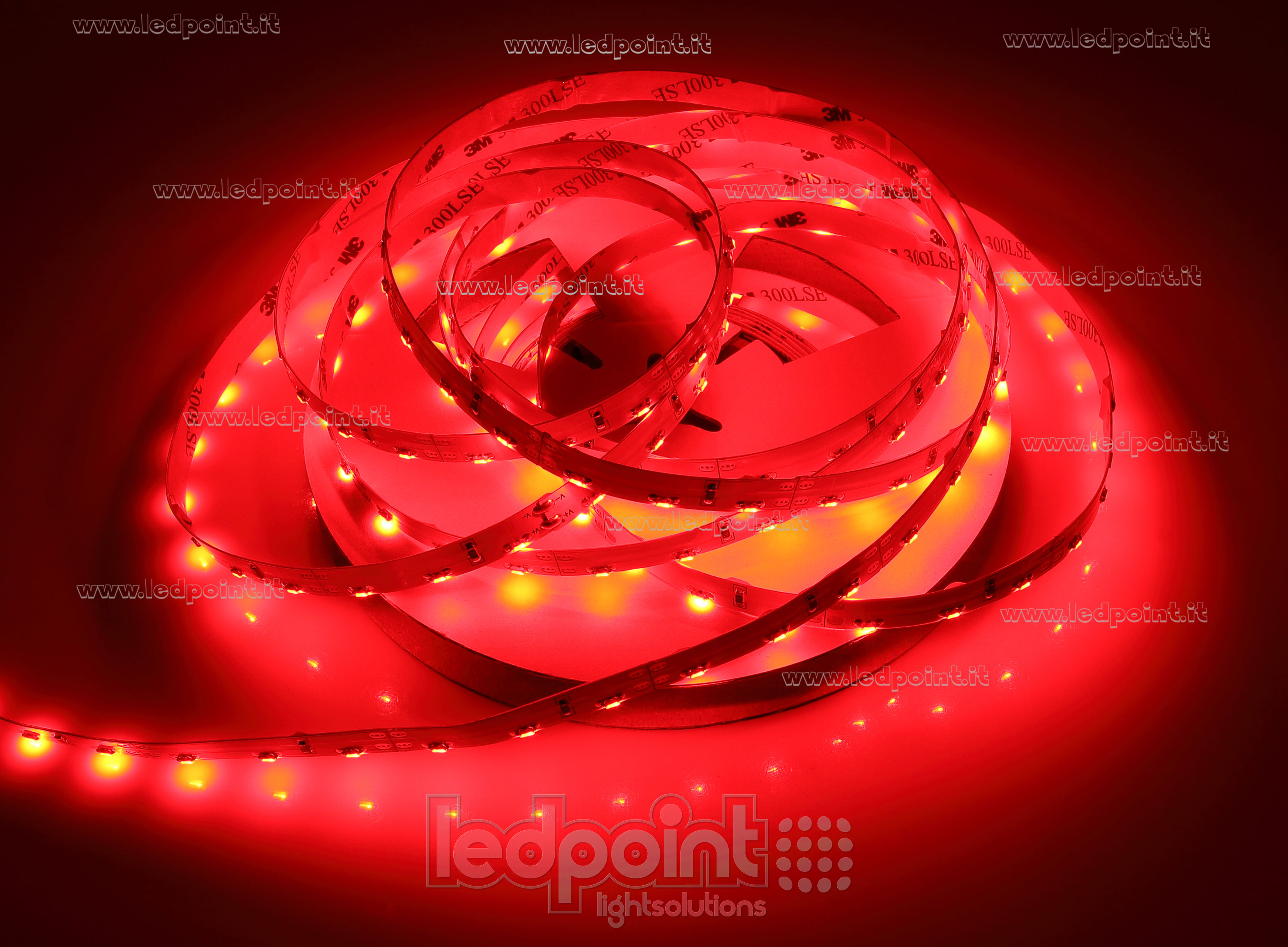 Ledpoint S.r.l. | Ruban led rouge 5m 60leds/m 335 12V 4,8W/m