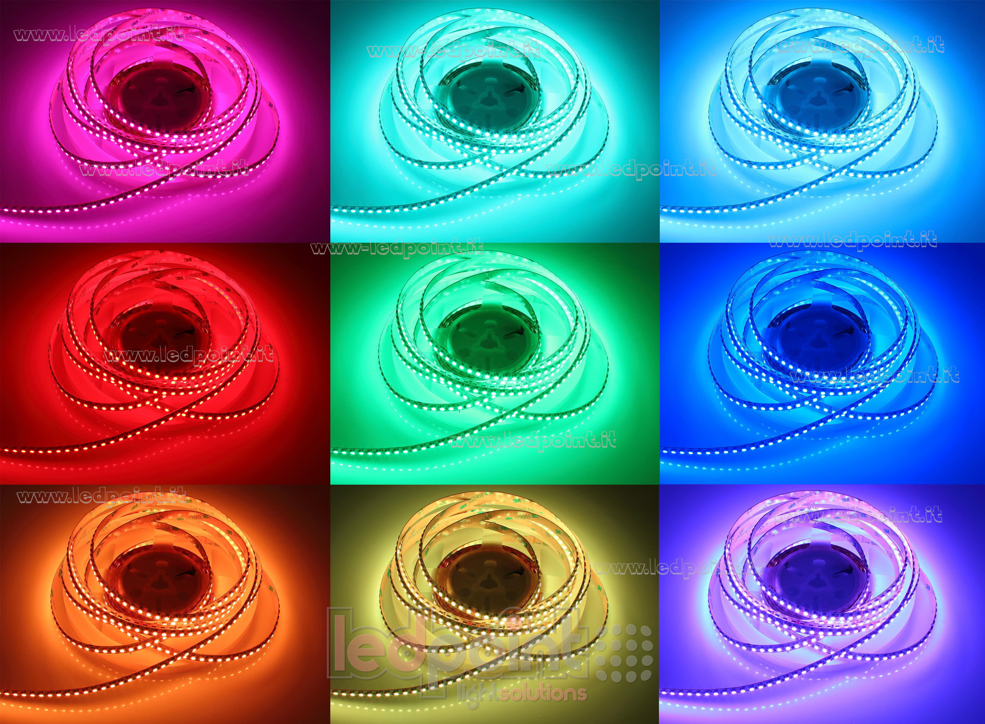Ledpoint S.r.l. | Ruban led RGB 5m 3838 168led/m 24V 16W/m PCB 8mm