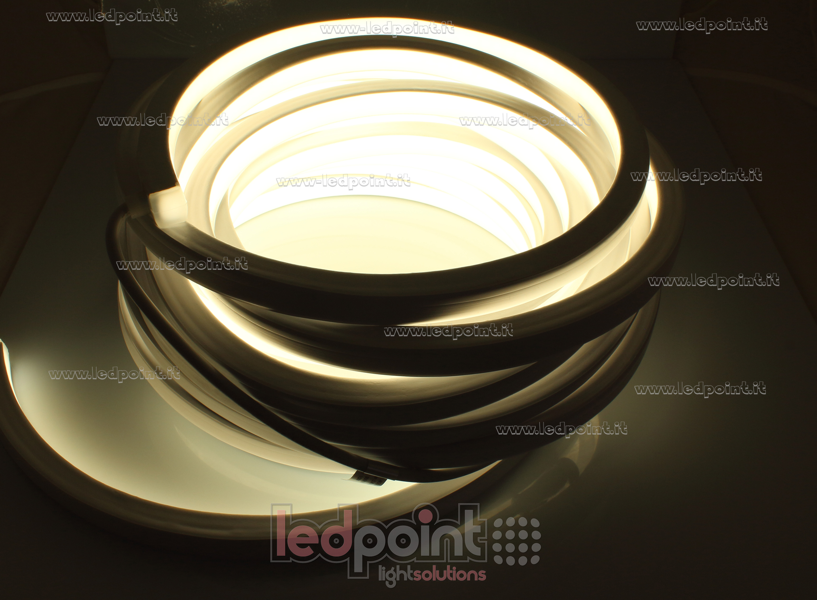 Ledpoint S.r.l. | Led Neon Flex 17mm blanc chaud 3000K 3528 24V 9W/m ...